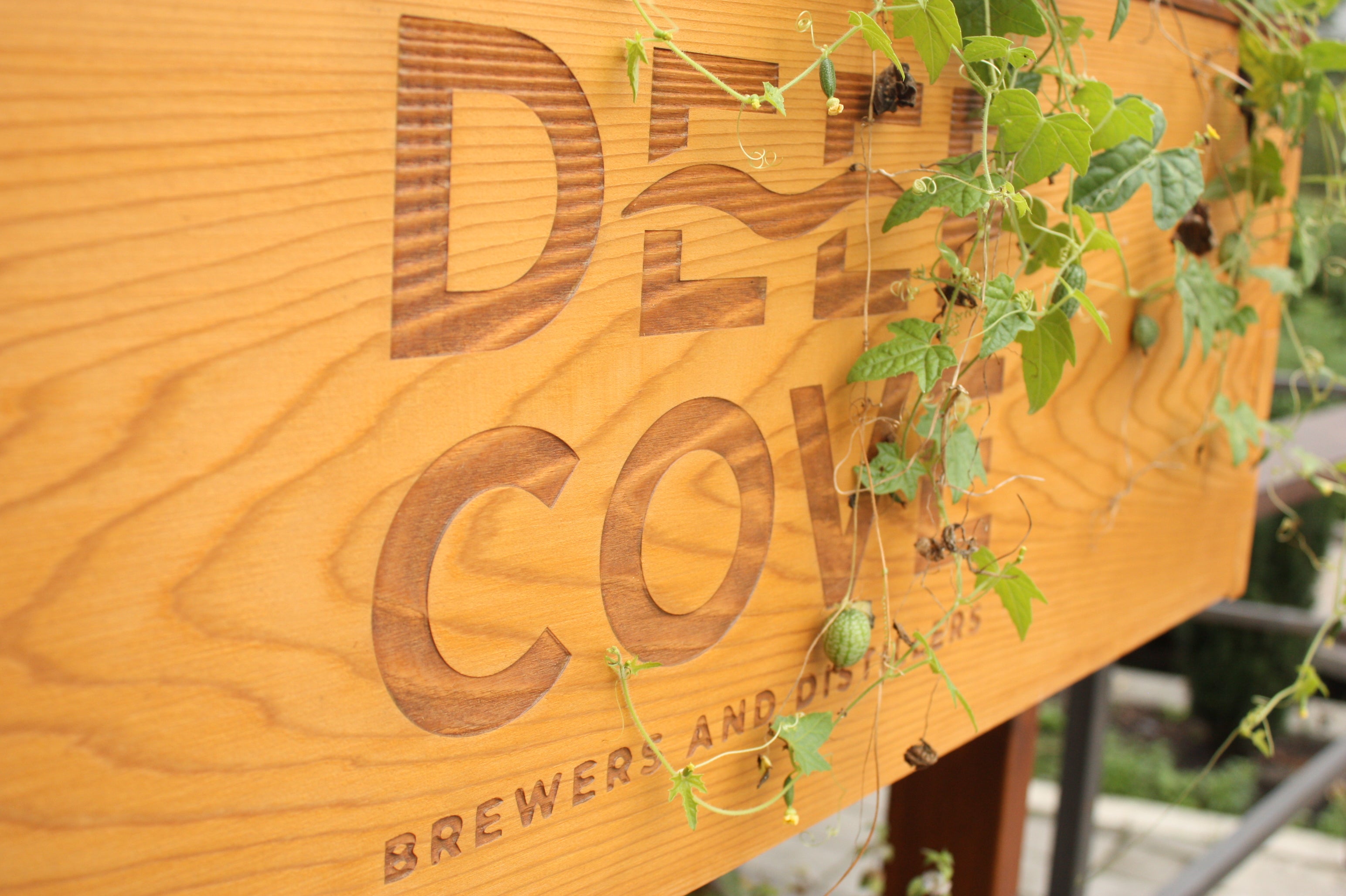 Deep Cove Brewers & Distillers – LifeSpace Gardens