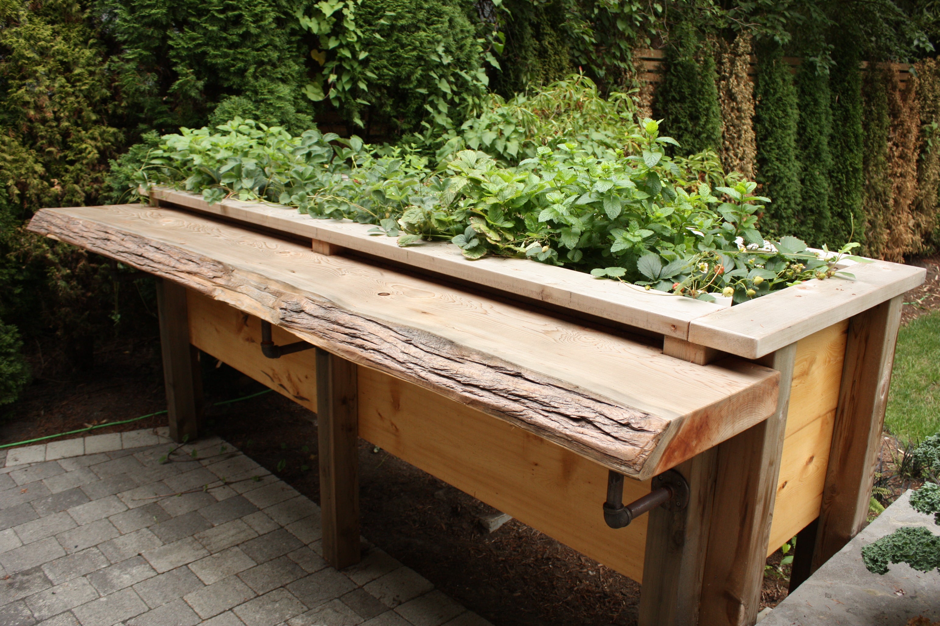 Live Edge Snack Bench – LifeSpace Gardens