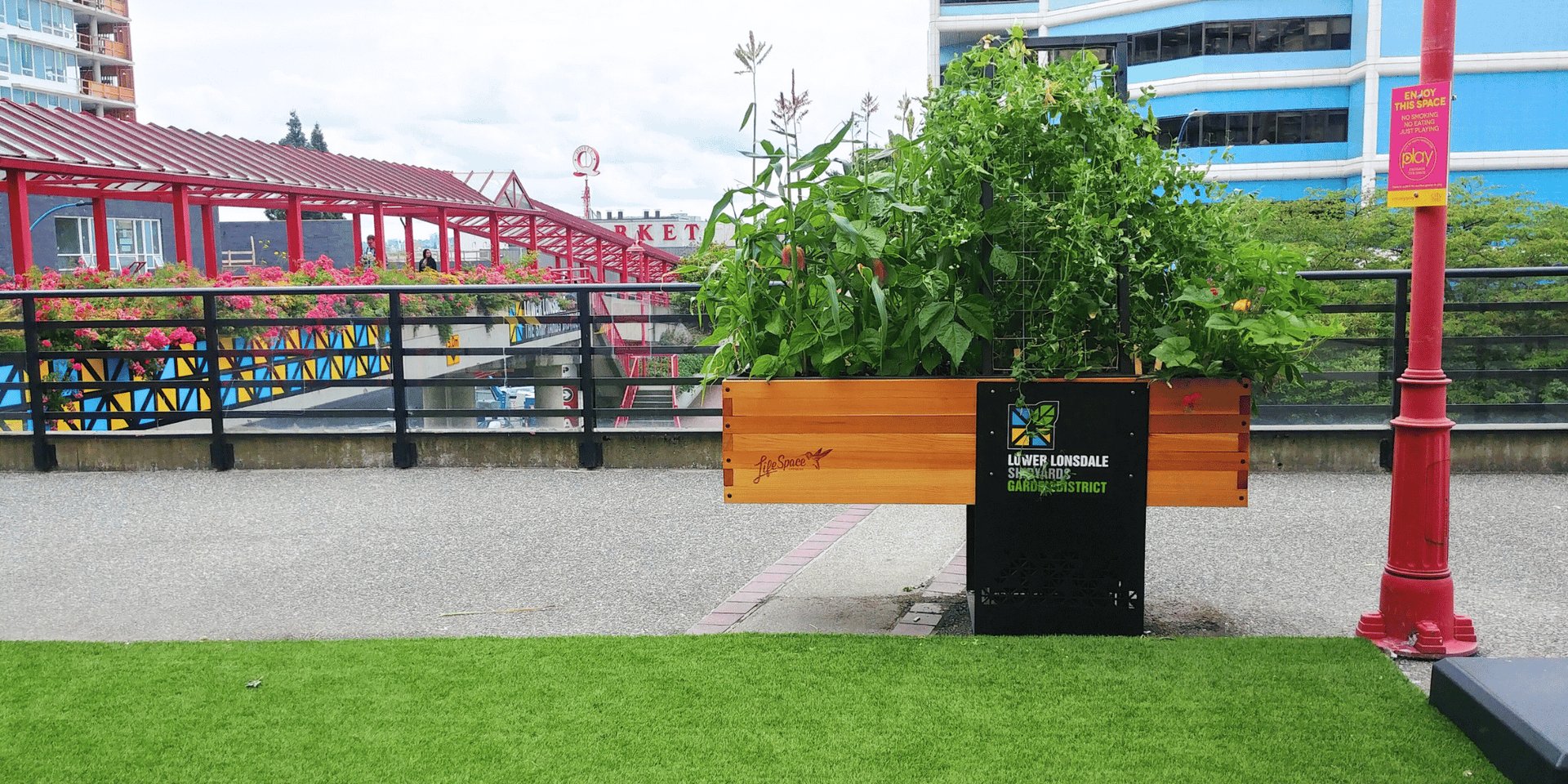 Streetscaping & Placemaking – LifeSpace Gardens
