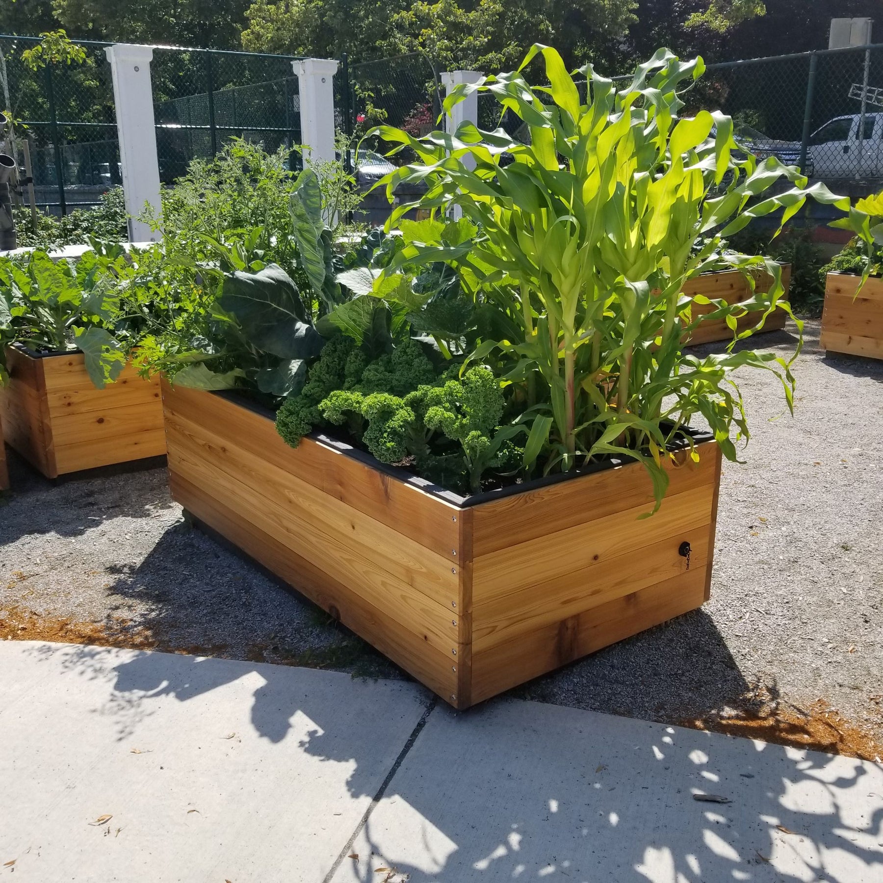 Artifex | Self-Watering Planter Design | LifeSpace Gardens