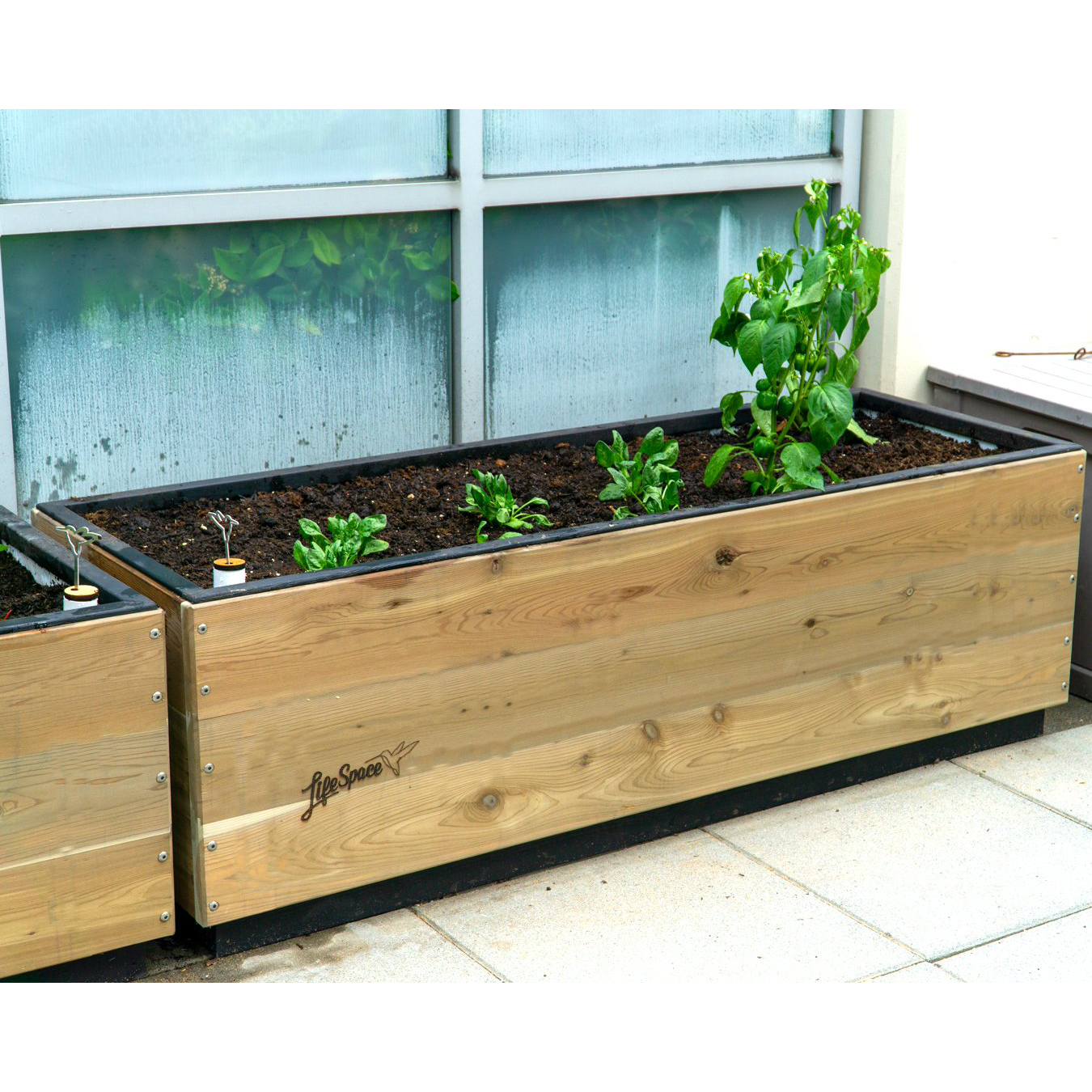 Artifex | Self-Watering Planter Design | LifeSpace Gardens
