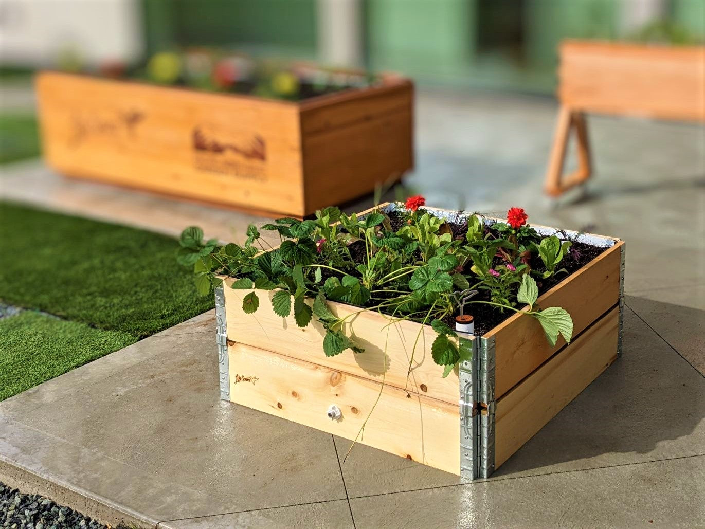 Project Garden Box - 3'x3' DIY Self-Watering Garden Kit – LifeSpace Gardens
